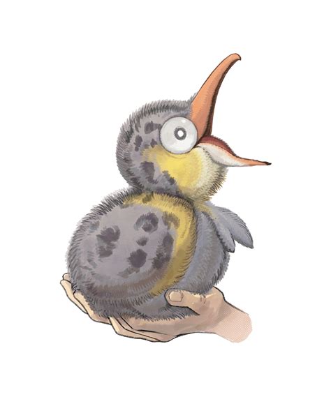 Wattrel Pokemon Drawn By Kappafarm Danbooru