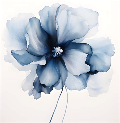 Flor Aquarela Azul Tapete De Flores Com Padrão Azul Aquarela