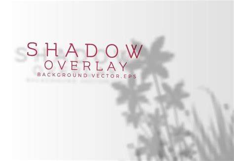 Shadow Background Vector Art Icons And Graphics For Free Download