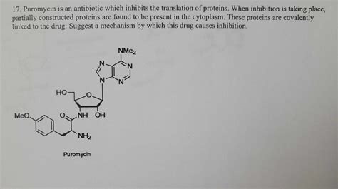 Solved Puromycin Is An Antibiotic Which Inhibits The
