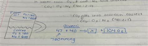 Physiology Exam 2 Flashcards Quizlet