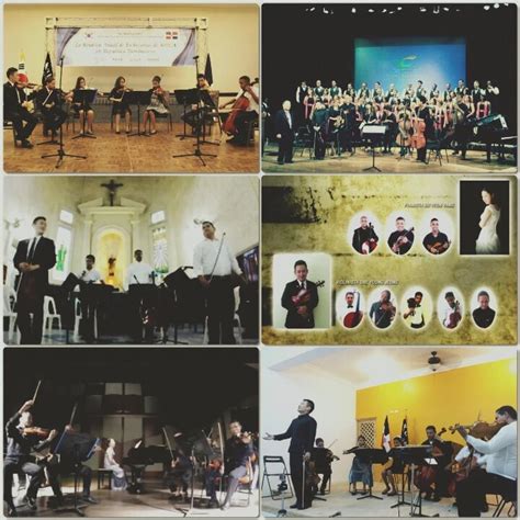 바이올린 첼로 비올라 오케스트라 레슨 악기대여및연습실사용 서울특별시 도봉구 쌍문제4동 비즈프로필