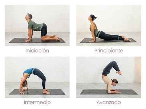 Posturas De Yoga Para Principiantes Paso A Paso 20 Posturas De Yoga