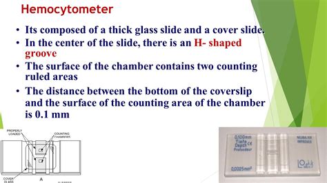 White Blood Cells Count Ppt Video Online Download