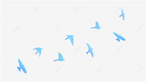 Colorful Flying Birds Vector Flying Birds Colorful Flying Birds