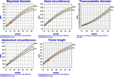 Fetal Growth Chart Head Circumference