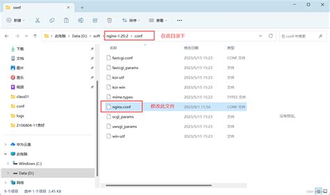 启动 Nginxexe出现闪退的问题nginxexe闪退 Csdn博客
