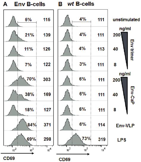 Activation Of Na Ve B Cells In Vitro Na Ve B Cells Were Isolated From