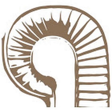 Domenico Ardino Youtube