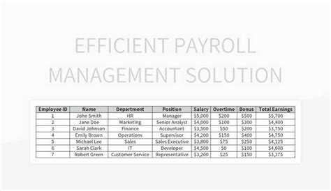 Efficient Payroll Management Solution Excel Template Free Download