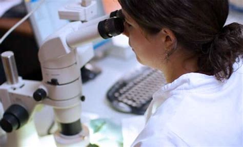 Masters Degree In Forensic Science Forensic Science Overview Master