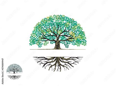 Oak Tree And Roots Logo Templates In Circular Shape In The Middle Provided Space For Writing Or