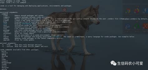 Conda查看环境conda简单用法讲解！ Csdn博客