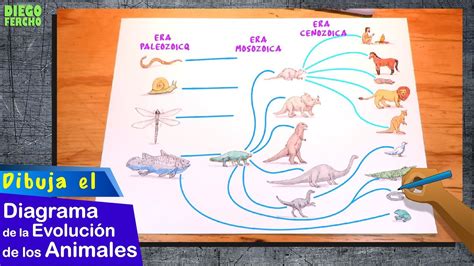 🐍🦕🐈dibuja El Diagrama Evolutivo De Los Animales En La Tierra🦎🐅🐘 Youtube