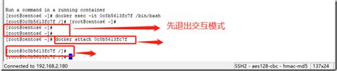 启动、重新启动容器后，进入交互模式 docker重新进入后台运行的容器交互 csdn博客