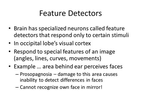 Feature Detection Psychology
