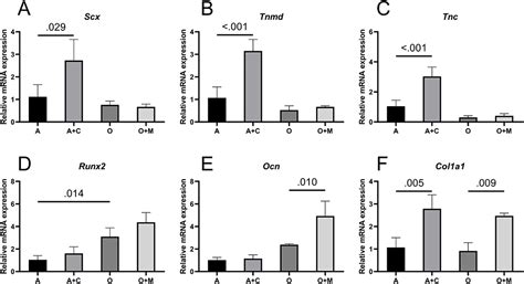 Melt Electrowriting Combined With Fused Deposition Modeling Printing F Ijn