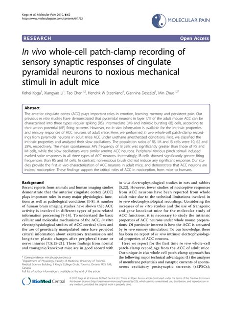 Pdf In Vivo Whole Cell Patch Clamp Recording Of Sensory Synaptic Responses Of Cingulate