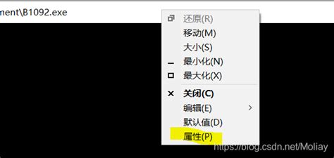 dev c 基础操作 dev c 插入片段 csdn博客