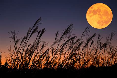 Harvest Full Moon The First Supermoon Of The Year Hellenic Daily News
