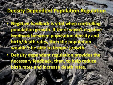 Ppt Population Densitys Effect On Population Growth Powerpoint