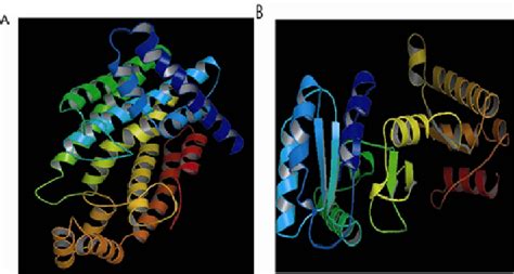 Three Dimensional Structural Representation Pymol Display Of Farnesyl Download Scientific