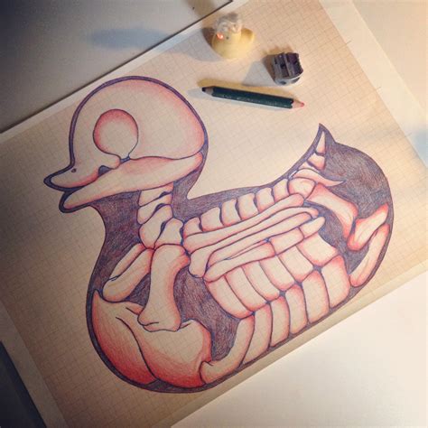 Duck Skeleton Drawing
