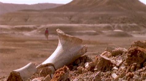 Becoming A Fossil PBS LearningMedia