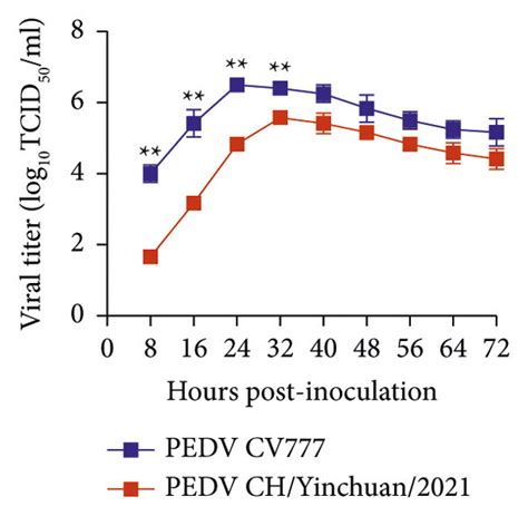 Identification Of The Pedv Ch Yinchuan 2021 A Vero Cells Were Download Scientific Diagram