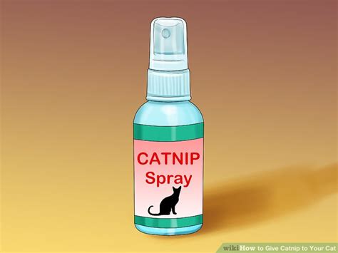 Ways To Give Catnip To Your Cat WikiHow