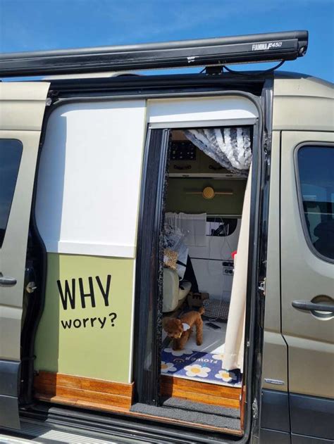 중고직거래 벤츠스프린터캠핑카