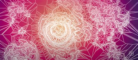 Lost Cells Journalismfund Europe