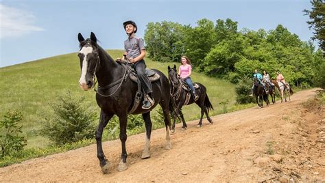 Big Rock Dude Ranch Horseback Riding In The Smoky Mountains Artofit