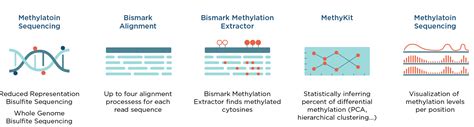 Differential Methylation Analysis With Seven Bridges