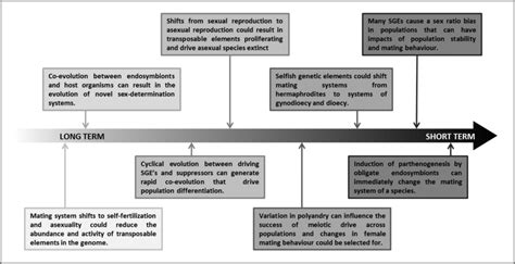 A Timeline Showing Examples Of The Different Interactions And Impacts Download Scientific