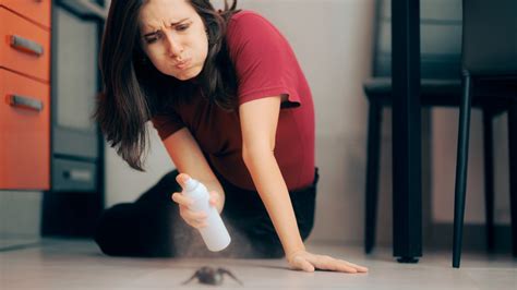 Think Twice Before Using Commercial Insecticides To Get Rid Of Spiders