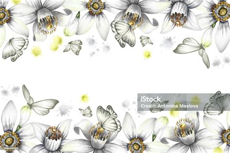 오렌지 꽃 향기로운 오렌지 나무 꽃과의 경계 나비가 있는 감귤류 꽃의 프레임 손으로 그린 수채화 그림입니다 향수 엽서 및 라벨