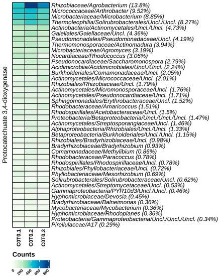 Water Free Full Text Innovative Culturomic Approaches And Predictive Functional Metagenomic
