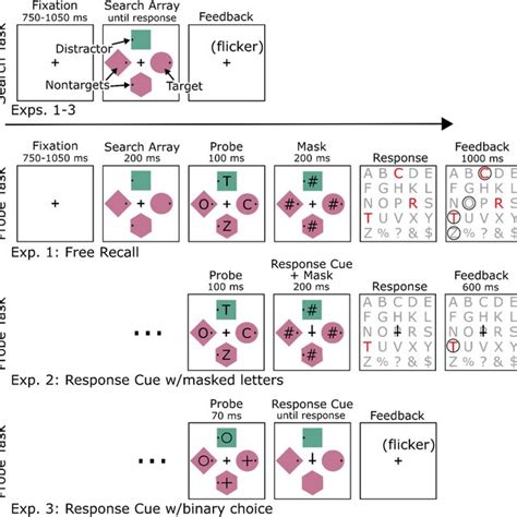 Schematic Illustration Of The Search And Probe Paradigms In Experiments Download Scientific