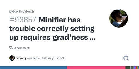 Minifier Has Trouble Correctly Setting Up Requires Grad Ness Of Inputs