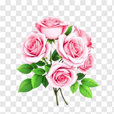 분홍색 핑크색 복숭아색 장미 장미꽃 로즈 부케 섬세 섬세 꽃잎 부드러움 부드러운 빛 세부 묘사 디테일 고급 식물학 일러스트 삽화 그림 흰색 배경 흰 배경 하얀 배경 포토
