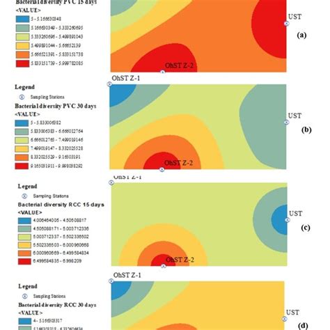 A D Spatial Distribution Of Bacterial Diversity Of Biolms Formed On Download Scientific