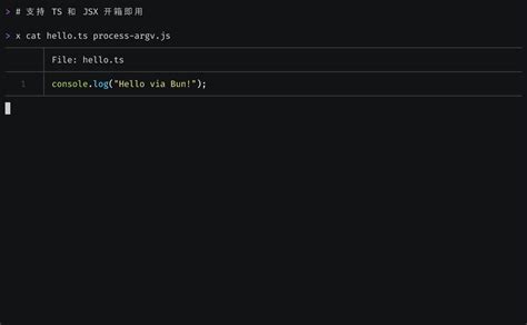 X Cmd Pkg Bun 快速的多合一 Javascript 运行时 知乎 X Cmd Pkg Bun 快速的多合一 Javascript 运行时 知乎