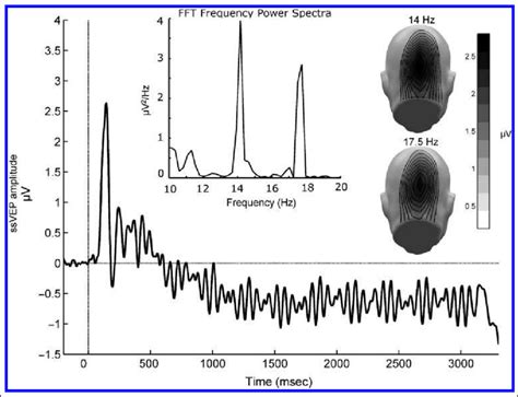 Grand Mean Steady State Visual Evoked Potential Ssvep Averaged Across