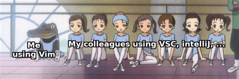 Im Using Vim Rprogrammerhumor