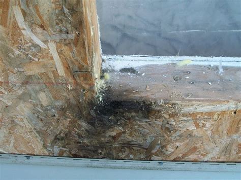 What S The Difference Between A Replacement Window And A New Construction Window