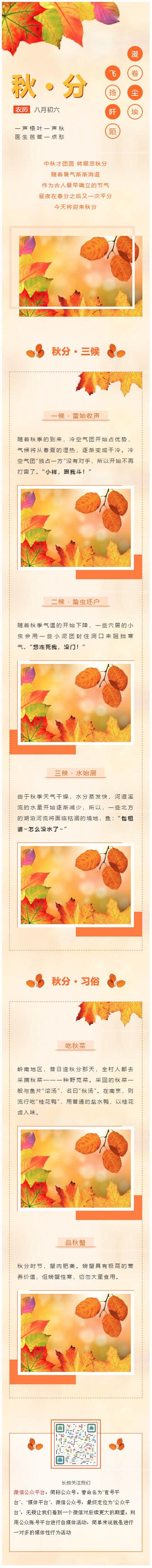 秋分二十四节气秋天黄色落叶风格微信公众号推文模板推送图文素材 微信公众号文章模板大全