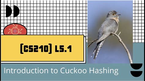 L51 Intro To Cuckoo Hashing Youtube