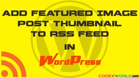 Beginners Guide To Developing A Wordpress Theme Codexworld