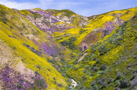 Carrizo Plains Nathan Yan Flickr